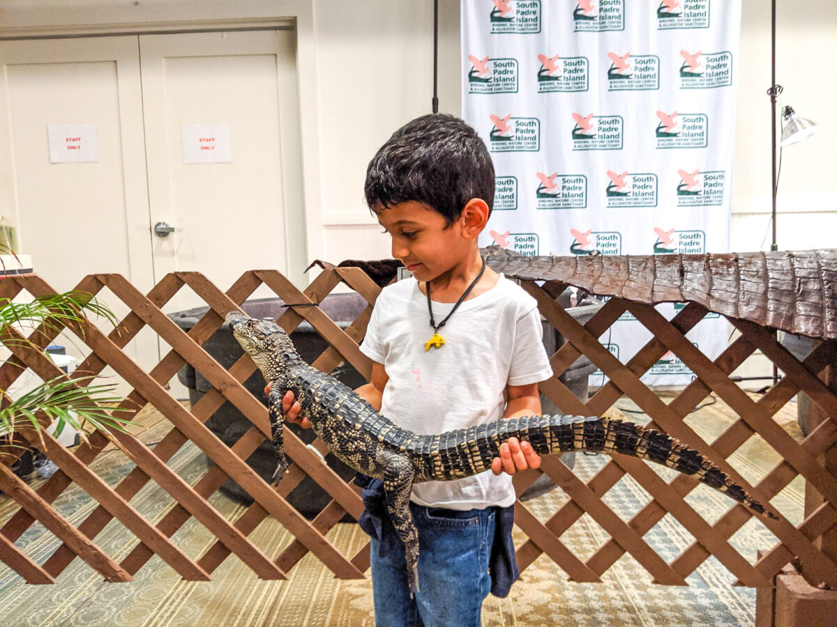 Birdwatching Bliss: South Padre Island Birding and Nature Center