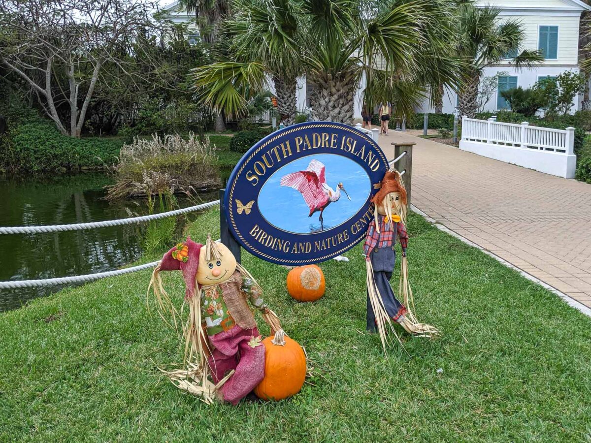 Birdwatching Bliss: South Padre Island Birding and Nature Center