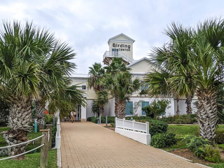 Birdwatching Bliss: South Padre Island Birding and Nature Center