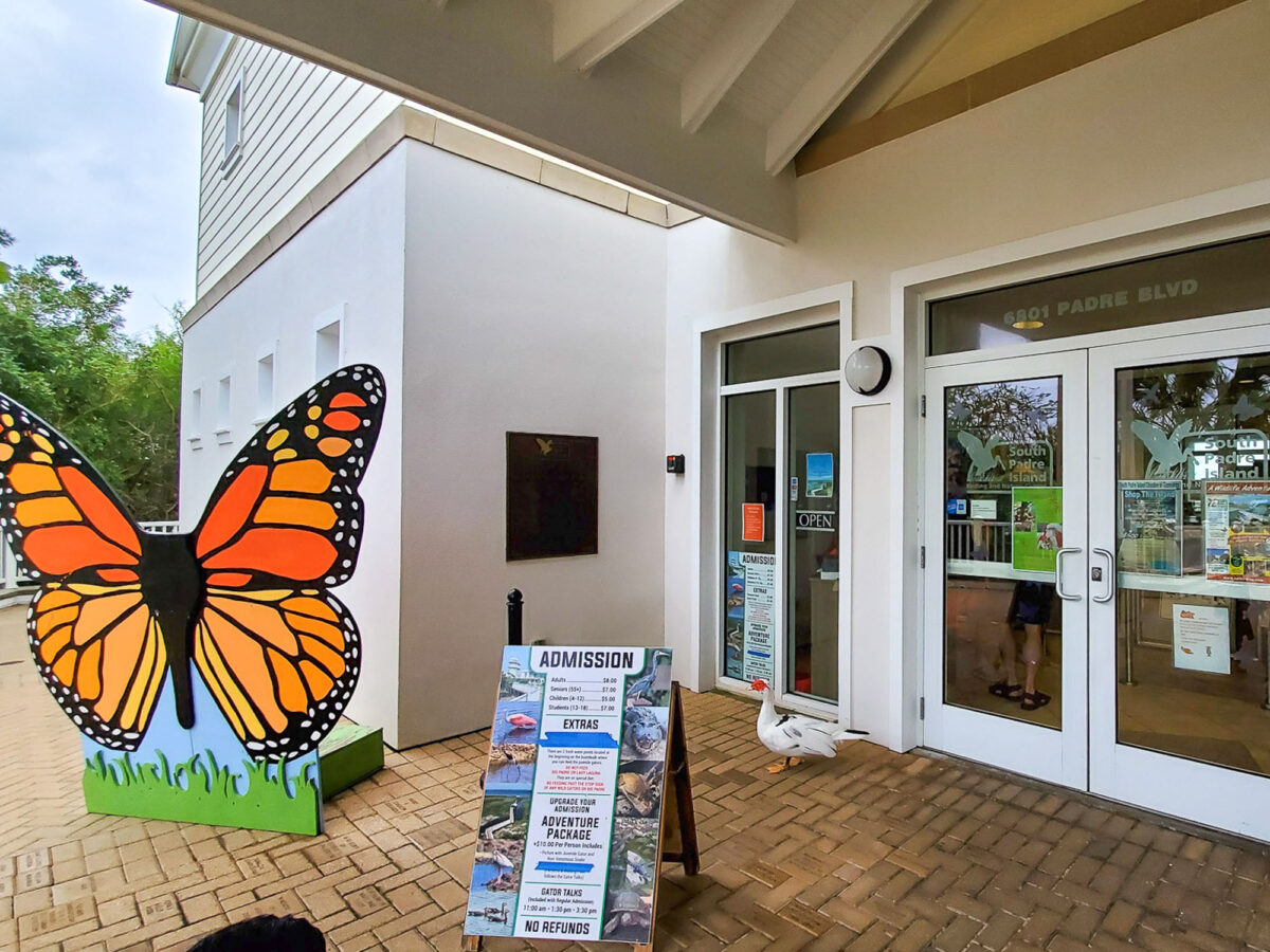 Birdwatching Bliss: South Padre Island Birding and Nature Center