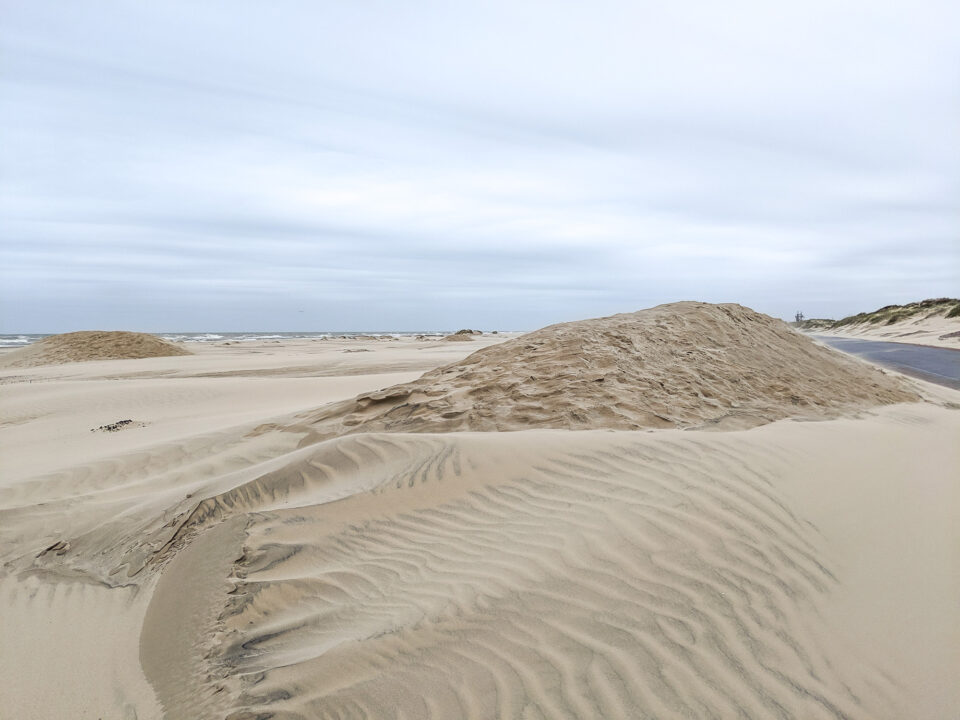 South Padre Island Sand Dunes: A Coastal Wonderland