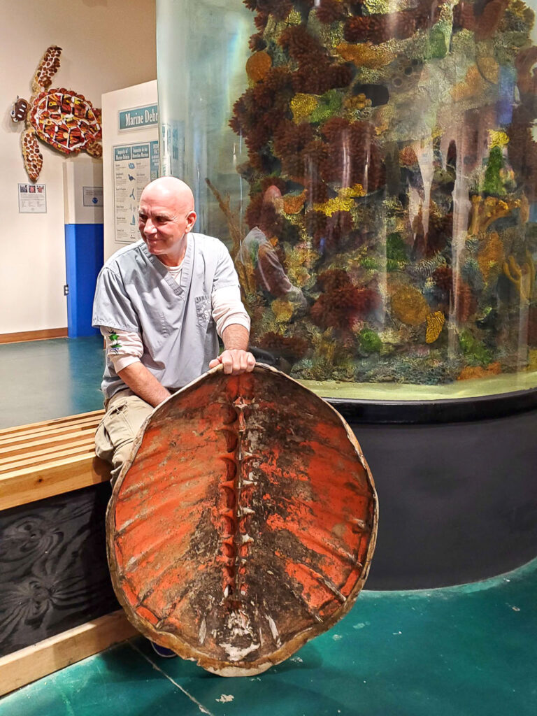 Sea Turtle Inc: Marine Life Conservation on South Padre Island