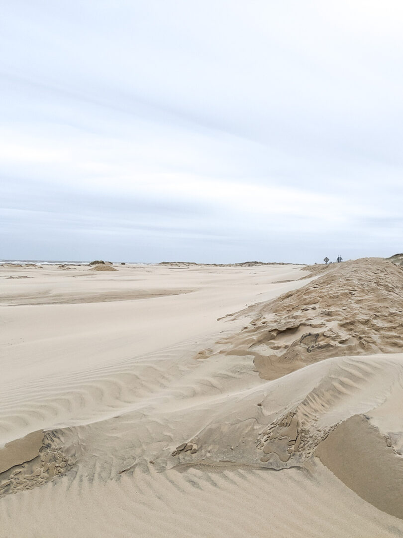 South Padre Island Sand Dunes: A Coastal Wonderland