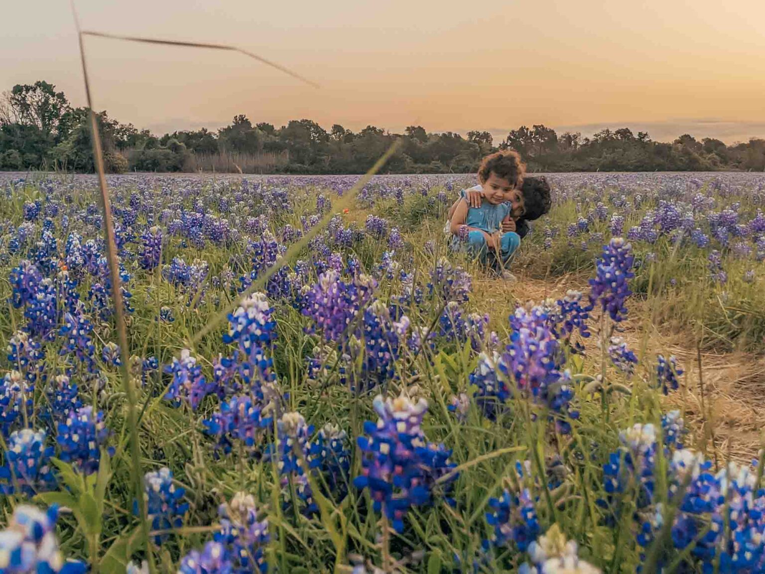 Where to See Bluebonnets in Texas this Spring