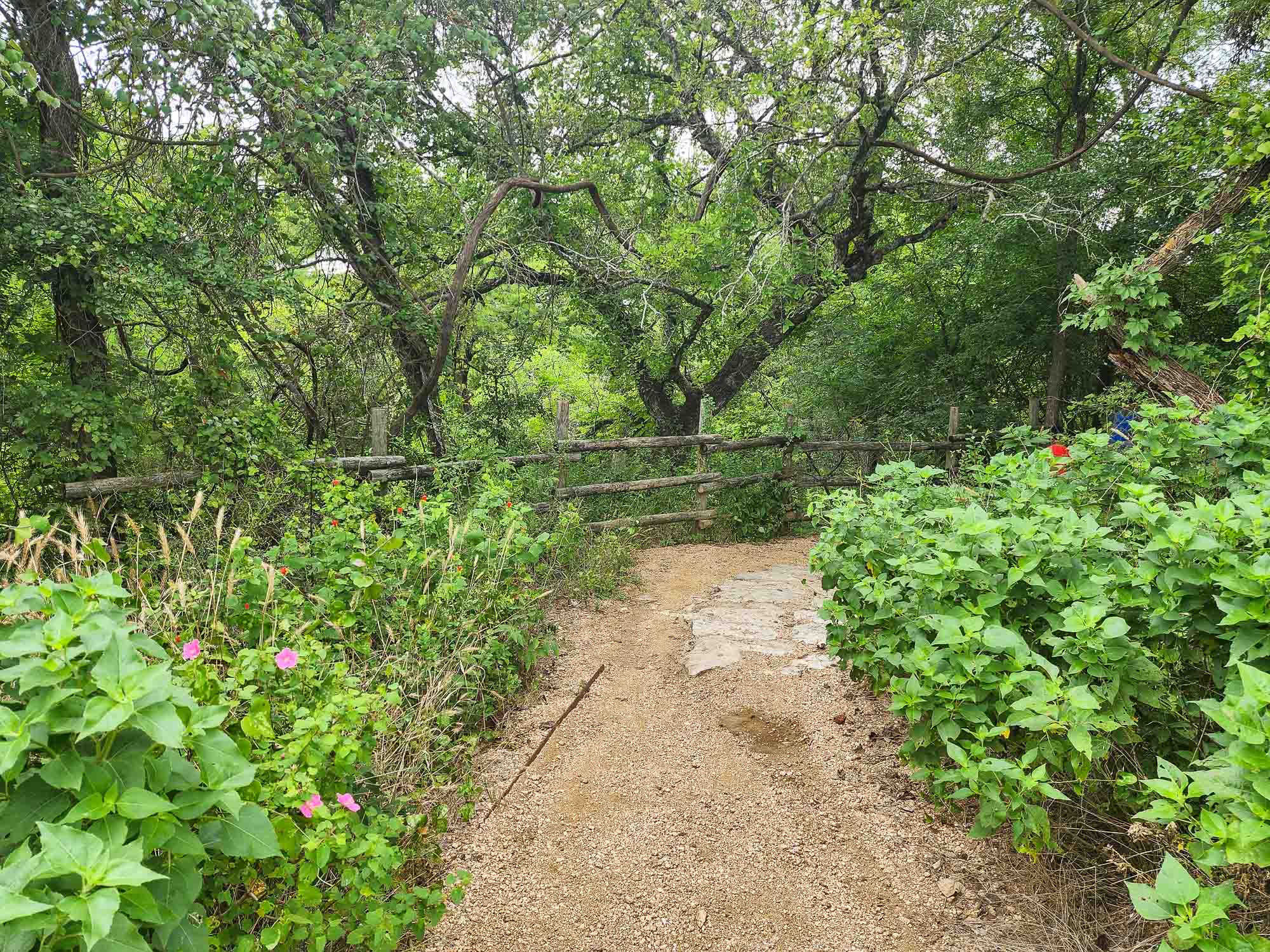 Rock Shelter Trail, McKinney Falls State Park