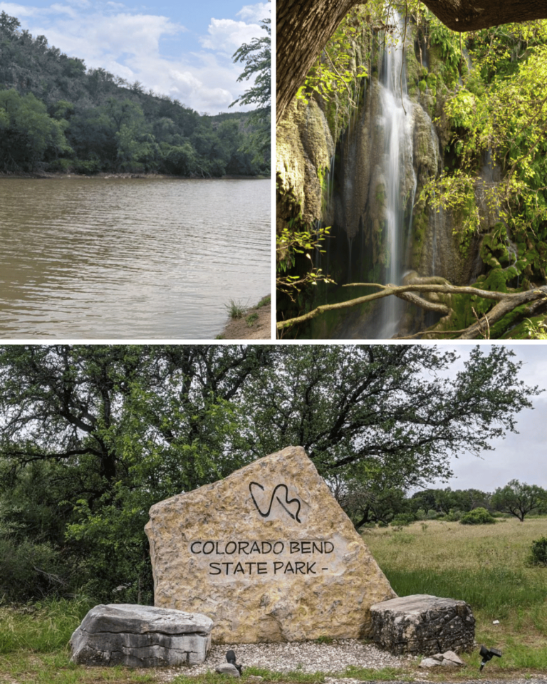 Colorado Bend State Park: How to Visit and What to do