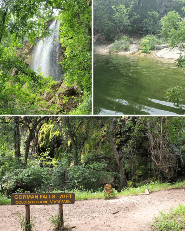 Colorado Bend State Park: How to Visit and What to do