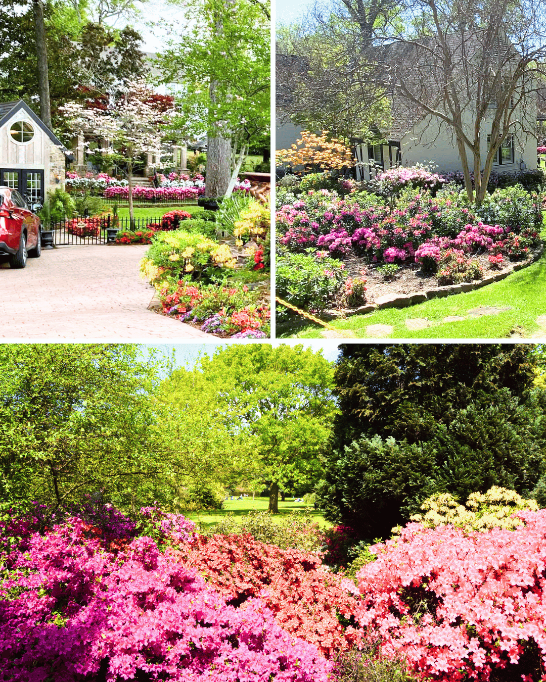 Discover Tyler, Texas: Roses, History, Festivals, and Arts Await