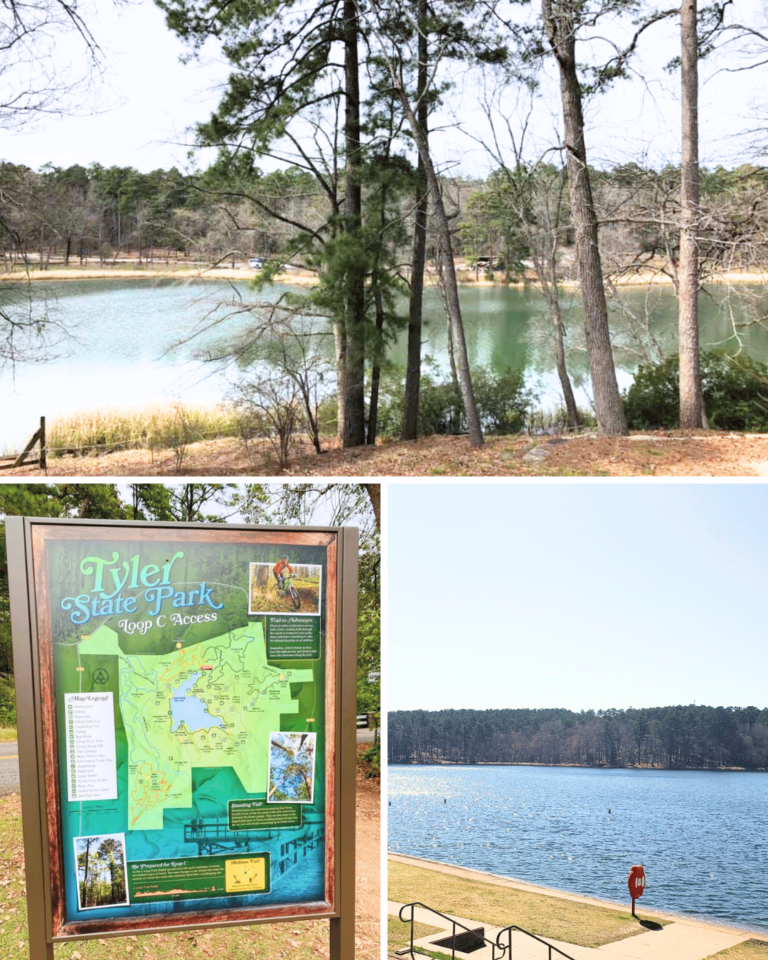 Discover Tyler, Texas: Roses, History, Festivals, and Arts Await