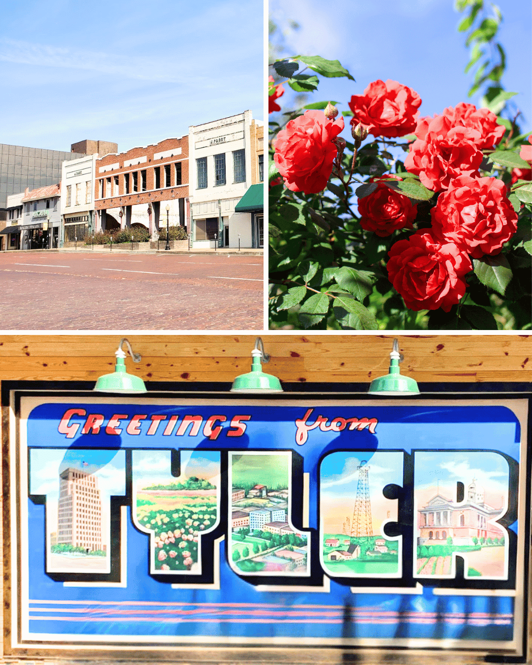 Discover Tyler, Texas: Roses, History, Festivals, and Arts Await